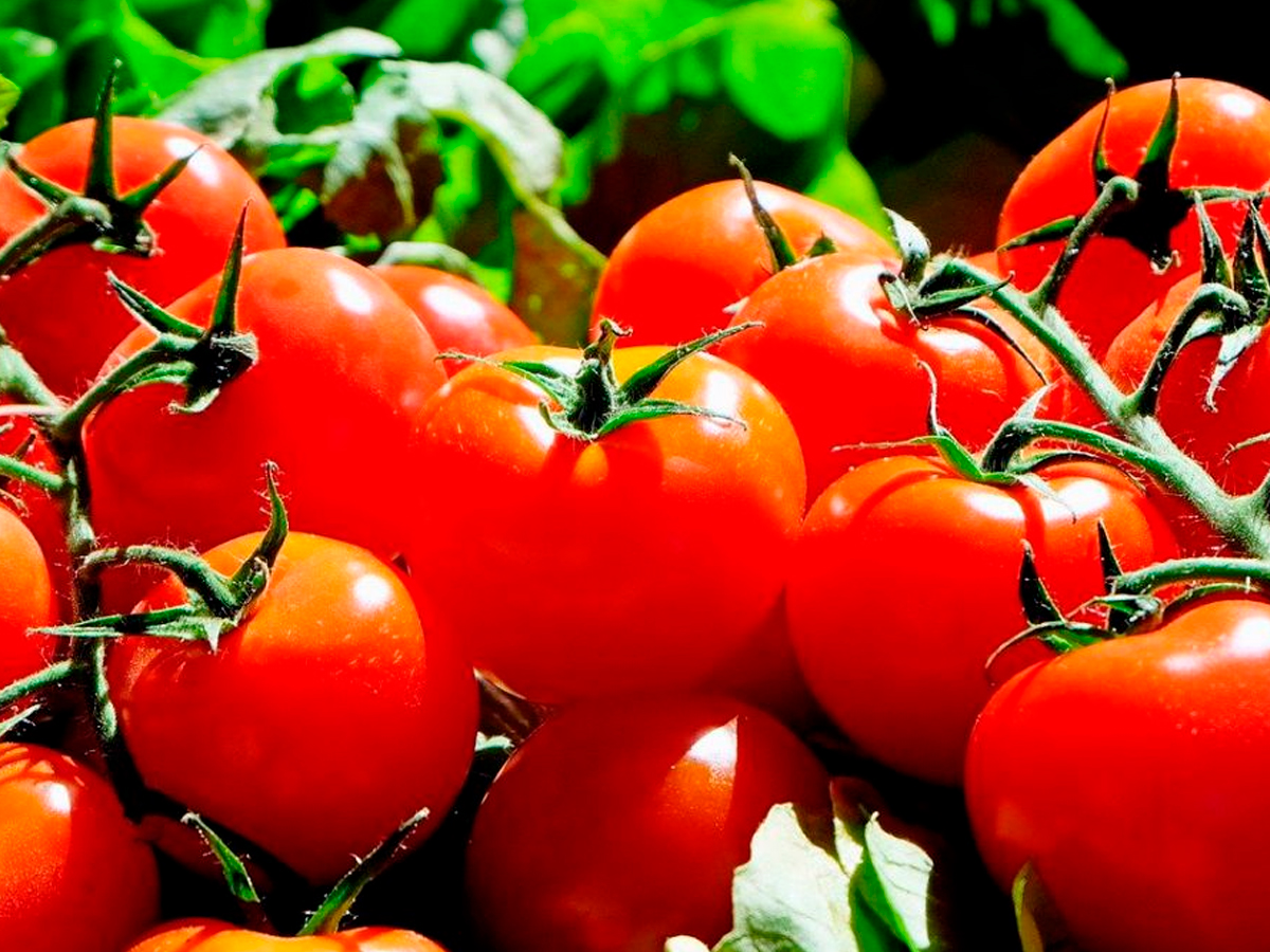 Alimentos antiinflamatorios que no pueden faltar en tu dieta